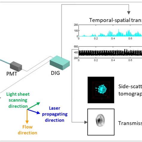 3d Imaging Flow Cytometer 3d Ifc Dual Modality Imaging System Aod Download Scientific