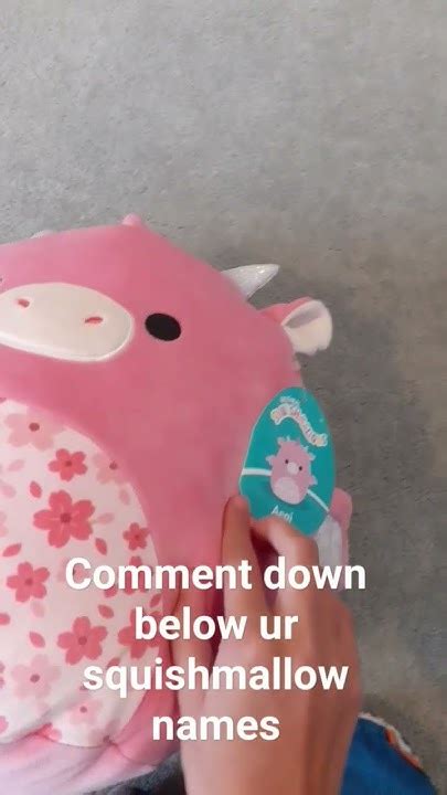 Why Are The Names Of Squishmallows So Weird Youtube