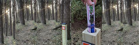 Making A Trail Counter Using A Esp32 Reverse Tft And Adalogger Feather Feather Esp32 Arduino