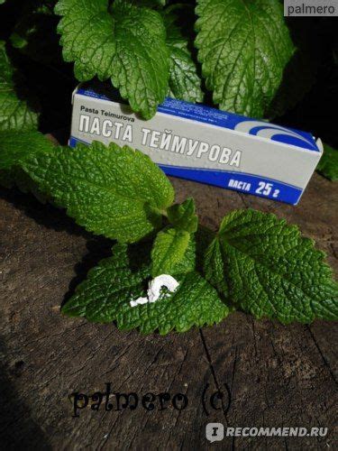 Антисептическое средство Паста Теймурова - «Паста Теймурова от ...
