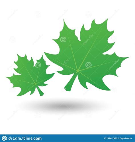 A Pair Of Leaves Vector Illustration Decorative Design Stock Vector