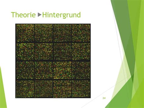 ppt self organizing tree algorithm powerpoint presentation free