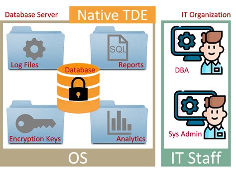 Top Database Encryption Software Data Privacy Solutions Worldwide
