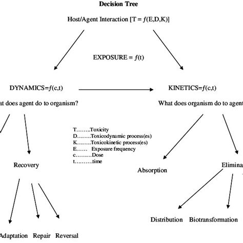Conceptual Outline Of The Decision Tree Approach Showing Dose And Time Download Scientific