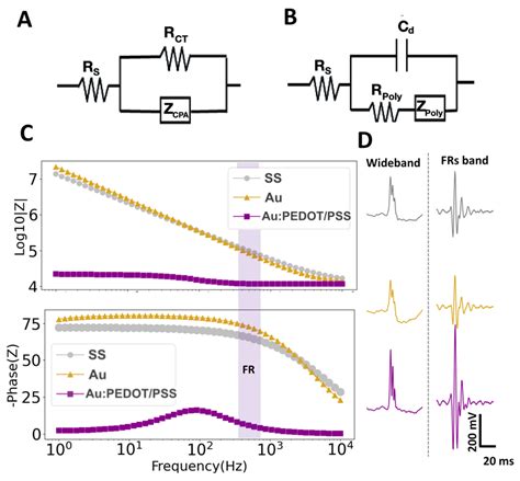 Equivalent Circuit Model For The Metal Microelectrodes With And Without