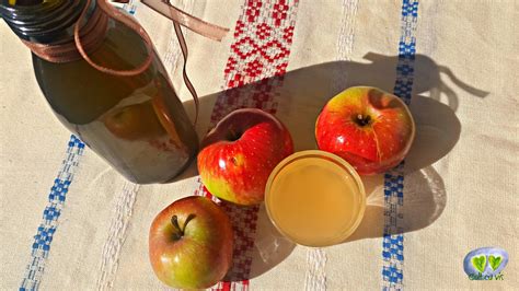 Colt Cu Vis Oțet De Mere Preparat Natural Fără Zahăr