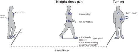 Overview Of The Experimental Set Up And Outcome Parameters Wearable Download Scientific