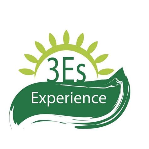 3es Experience Youtube
