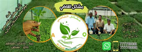 عبدالله قاضي القاضي