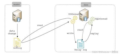 Mysql主从复制：原理、搭建与优缺点 Csdn博客