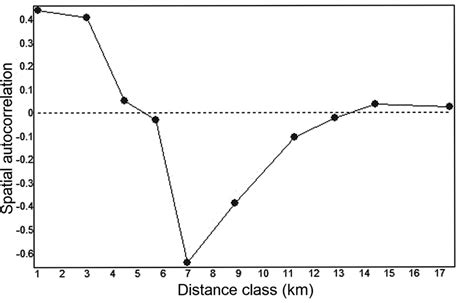 Spatial Filter Representing The Spatial Autocorrelation Morans I Download Scientific Diagram