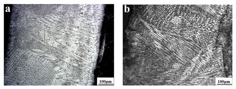 Metallographic Structure Of Cladding Layers A Microstructure Of The