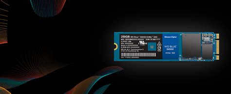 Western Digital WDS500G2B0A WD Blue 3D NAND Internal SSD 2.5 Inch SATA ...
