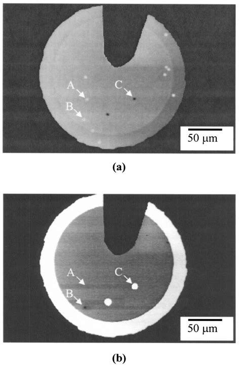 EBIC Image Of A P I N Diode Under A And B V Reverse Bias Download Scientific Diagram
