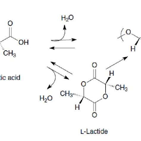 Formation Of Pla From Lactic Acid Or Lactide Dimer Download Scientific Diagram