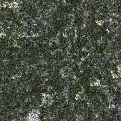 Grass And Rock Texture Stock Illustration Illustration Of Natural