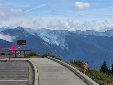 Eagle Point Fire Increases To 105 Acres Olympic National Park U S