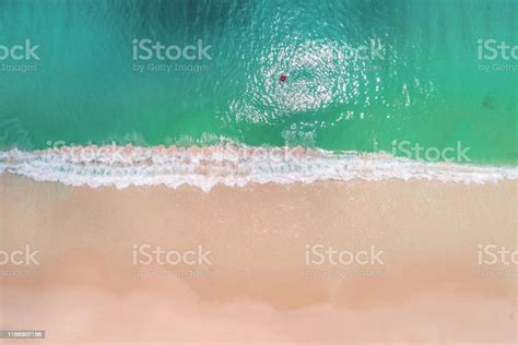 세이셸의 투명한 청록색 바다에서 수영 링 도넛에서 수영하는 슬림 한 여성의 공중 보기 소녀와 여름 바다 풍경 아름다운 파도 다채로운 물 드론에서 보기 공중 뷰에 대한 스톡