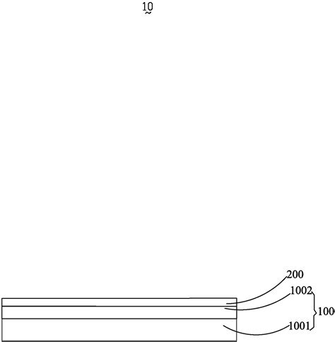 Lithium Metal Negative Electrode Structure Combination Preparation Method Thereof And Lithium