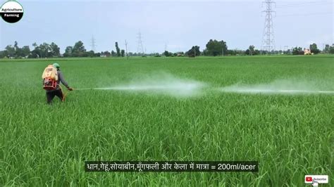 Xpert Propiconazole 25 Ec Systemic Fungicide Aluminium Bottle At