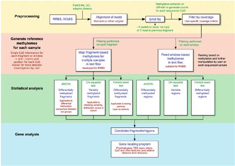 Flow Diagram Of Options And Analysis Units In Dmap Download