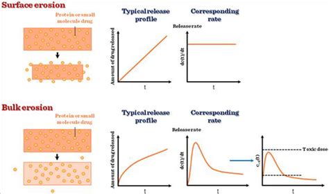 Controlled Release Profiles In Biodegradable Systems Download Scientific Diagram