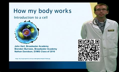 Intro To Cell Anatomy Guy