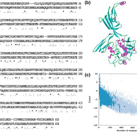 Homology Modelling Of Mtb Sige A Pair Wise Sequence Alignment Of
