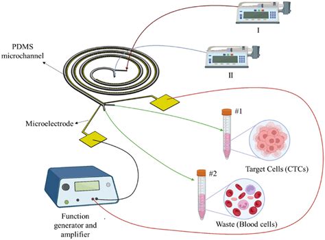 Schematic Diagram Of The Experimental Setup Syringe Pumps I And Ii