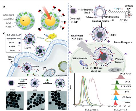 Figure 8 From Recent Advances In Upconversion Nanoparticle Based Nanocomposites For Gas Therapy
