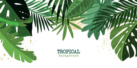 Tropical Background Vector Art Icons And Graphics For Free Download