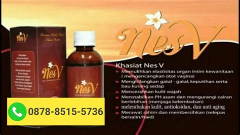 Manfaat Nes V I Khasiat Nes V Youtube