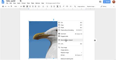 How To Resize An Image In Google Docs Dadsbros