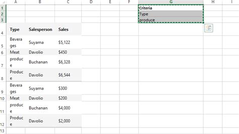 How To Use The Double Filter In Excel To Filter Data By Multiple Criteria Best Excel Tutorial