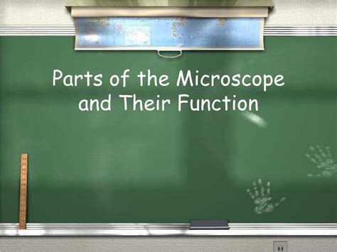 PPT Parts Of The Microscope And Their Function PowerPoint Presentation ID