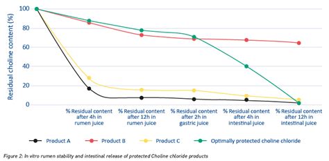 Understanding The Role Of Protected Choline To Reduce Ketosis And