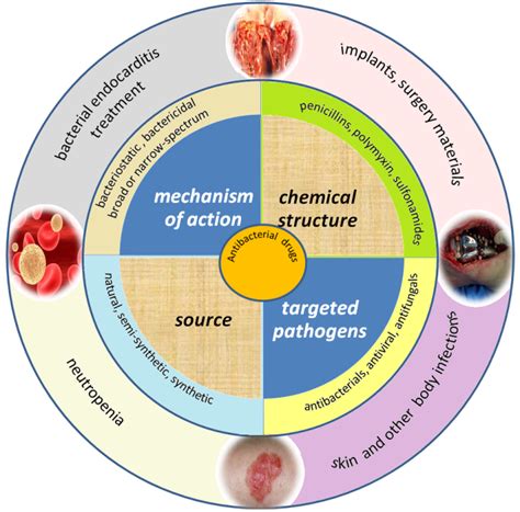 What Are Antimicrobial Agents Definition Types With Examples Videos