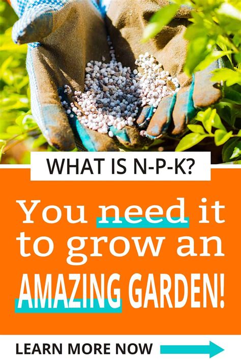 What Is NPK Fertilizer? And What Does NPK Do for Plants? | Easy garden, Fertilizer, Healthy garden