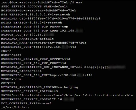 Obtain The Metadata From A Container Elastic Container Instance