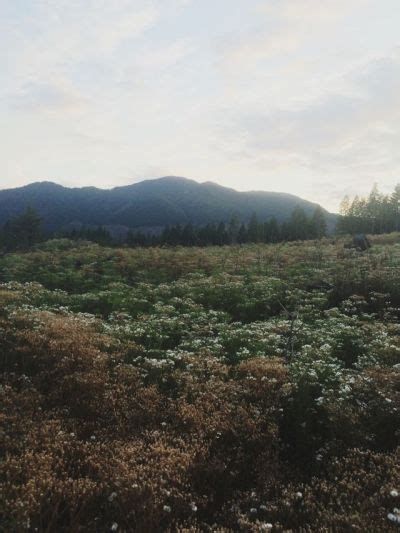 Eartheld Mostly Nature Mostly Nature Tumbex Eartheld Mostly Nature Mostly Nature Tumbex