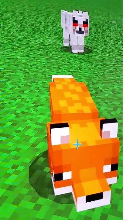 😱Волк в ШОКЕ от Лисы в Майнкрафте Youtube