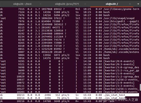 父子进程、僵尸进程和孤儿进程 linux僵尸进程父进程是1 csdn博客