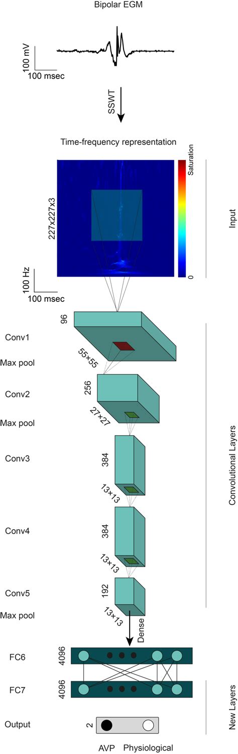 Pipeline For Cnn Based Avps Automatic Recognition Approach Proposed In Download Scientific