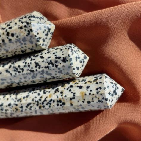 Groundedawarenessdalmatianjaspervogeldd3of3