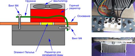 Простой охладитель для аквариума на элементе Пельтье