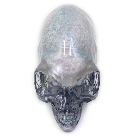 Xenomorph Skull Replica