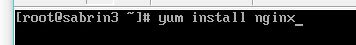 Configure NGINX Reverse Proxy Step By Step