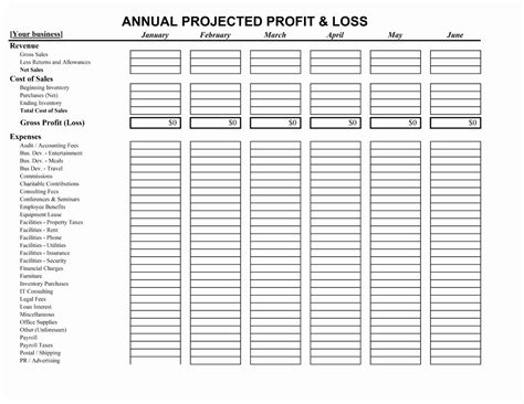 Profit And Loss Projection Template Excel My Spreadsheet Templates