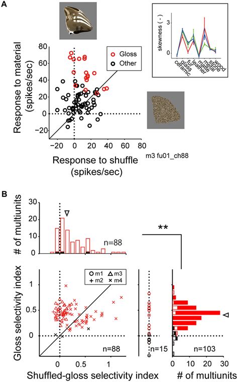 Similarity Of Stimulus Selectivity Between Depth Averaged Visual Download Scientific Diagram