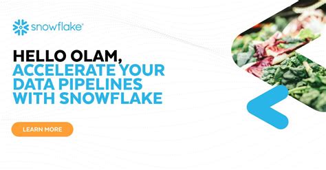 snowflake on linkedin singapore olam